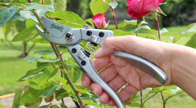 Wilkinson Sword | Barrus